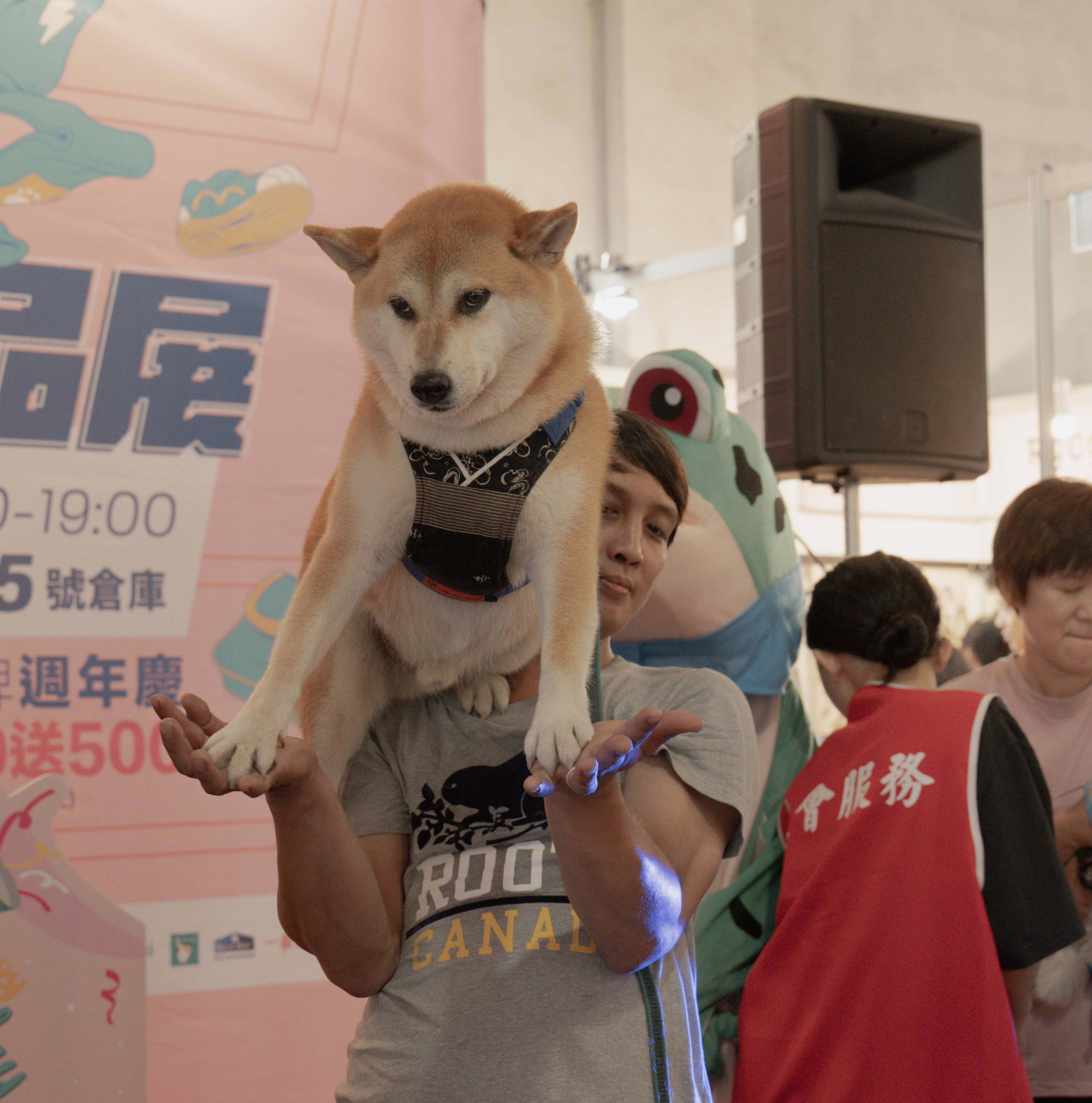 ShengDong生動國際展覽事業股份有限公司｜創新而生 動現未來