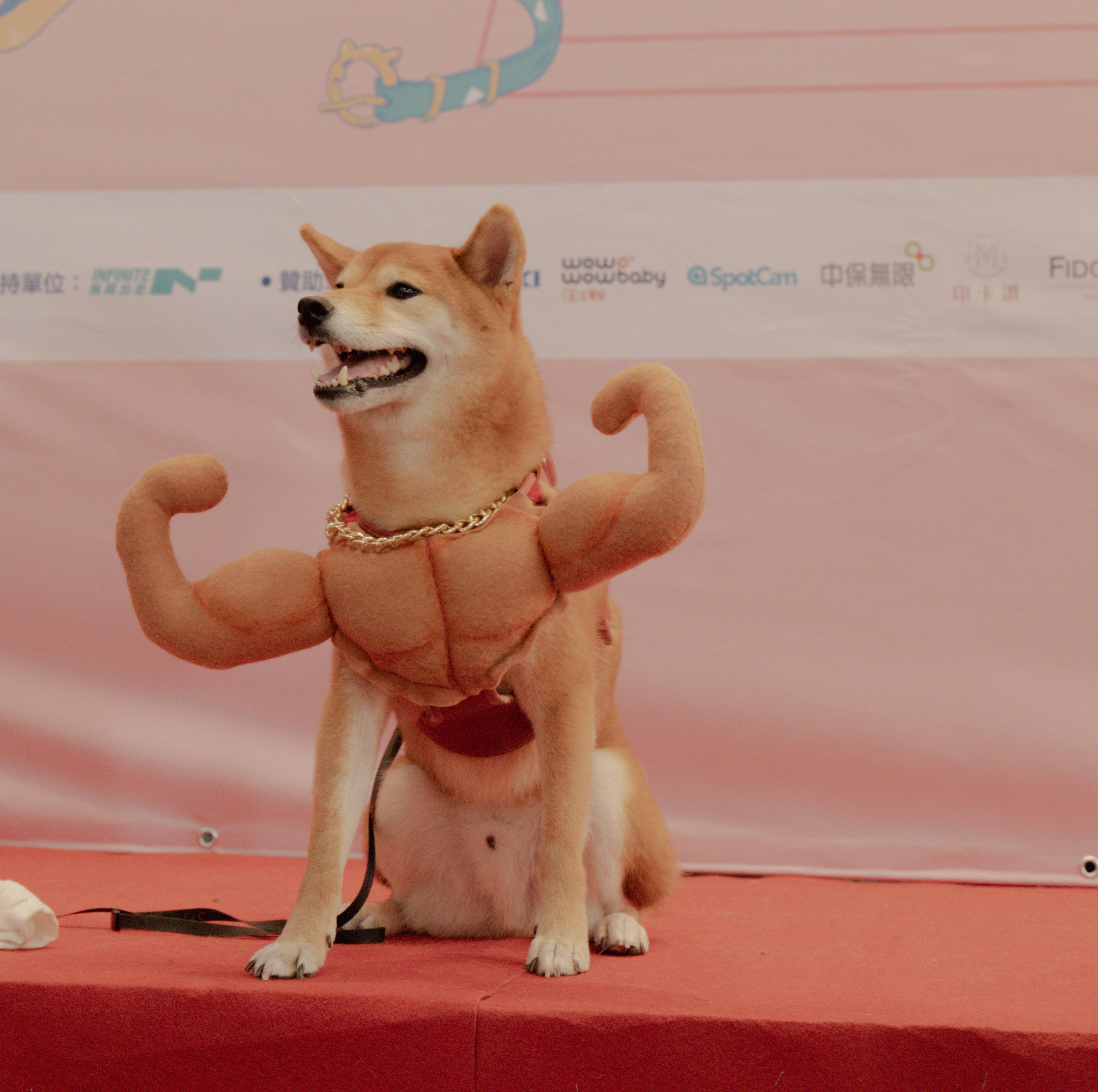 ShengDong生動國際展覽事業股份有限公司｜創新而生 動現未來