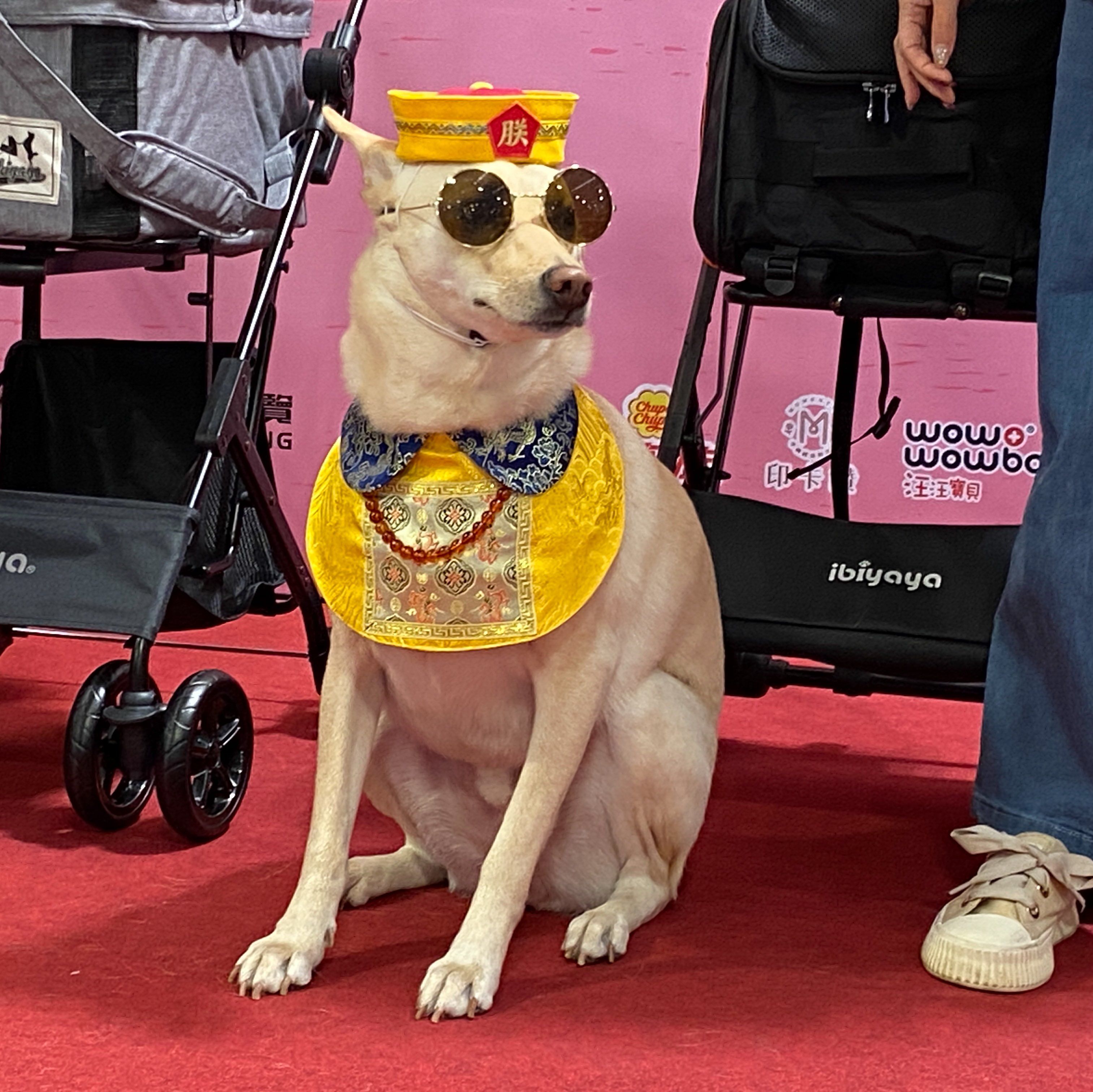 ShengDong生動國際展覽事業股份有限公司｜創新而生 動現未來