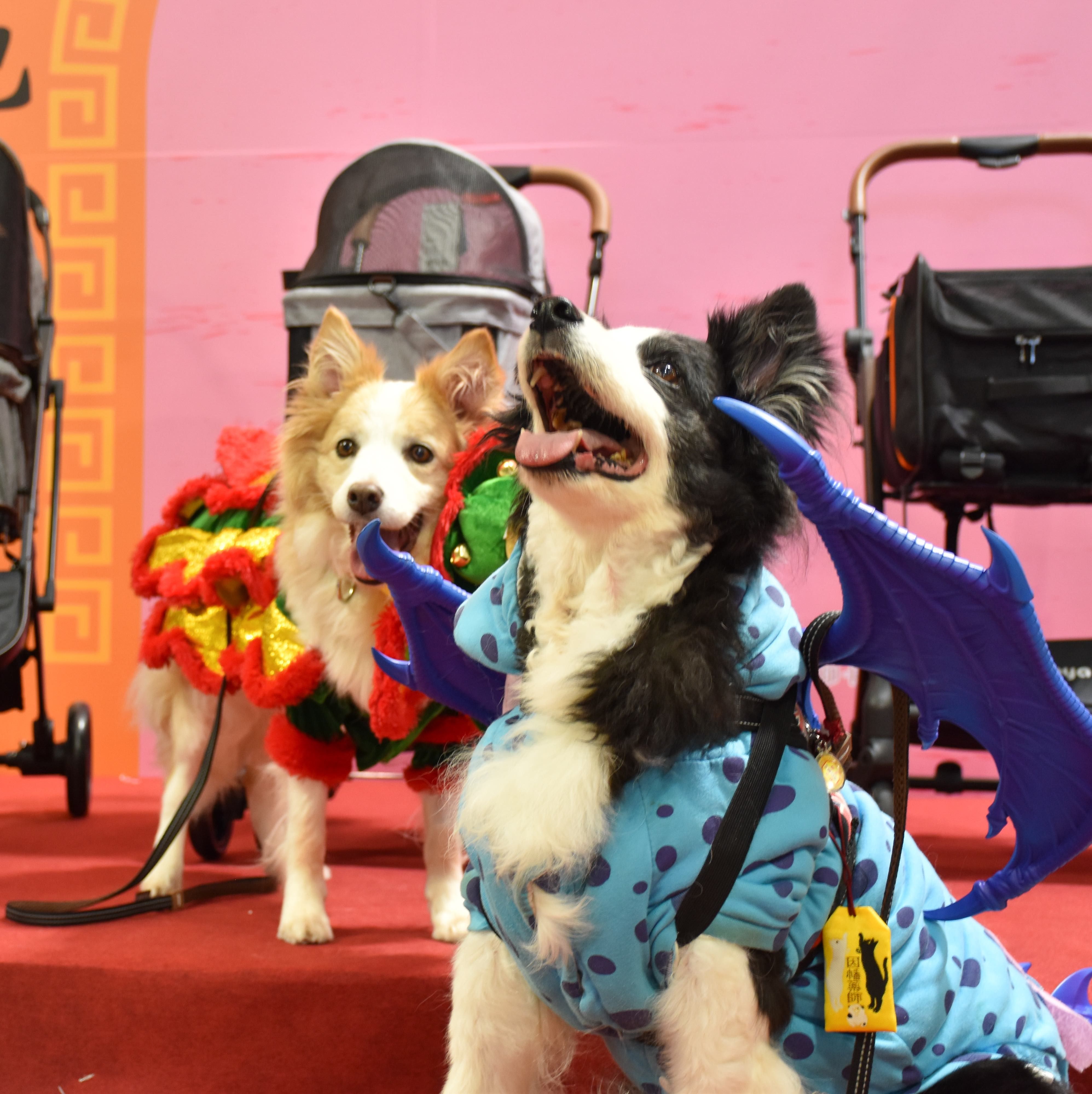 ShengDong生動國際展覽事業股份有限公司｜創新而生 動現未來