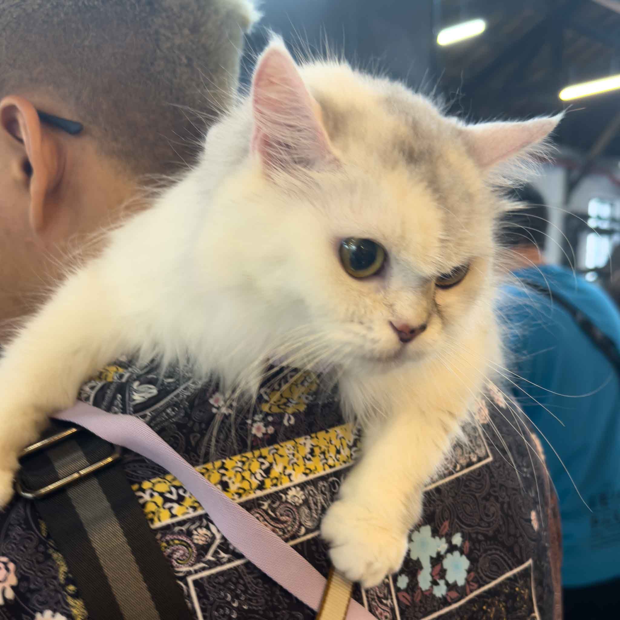 ShengDong生動國際展覽事業股份有限公司｜創新而生 動現未來