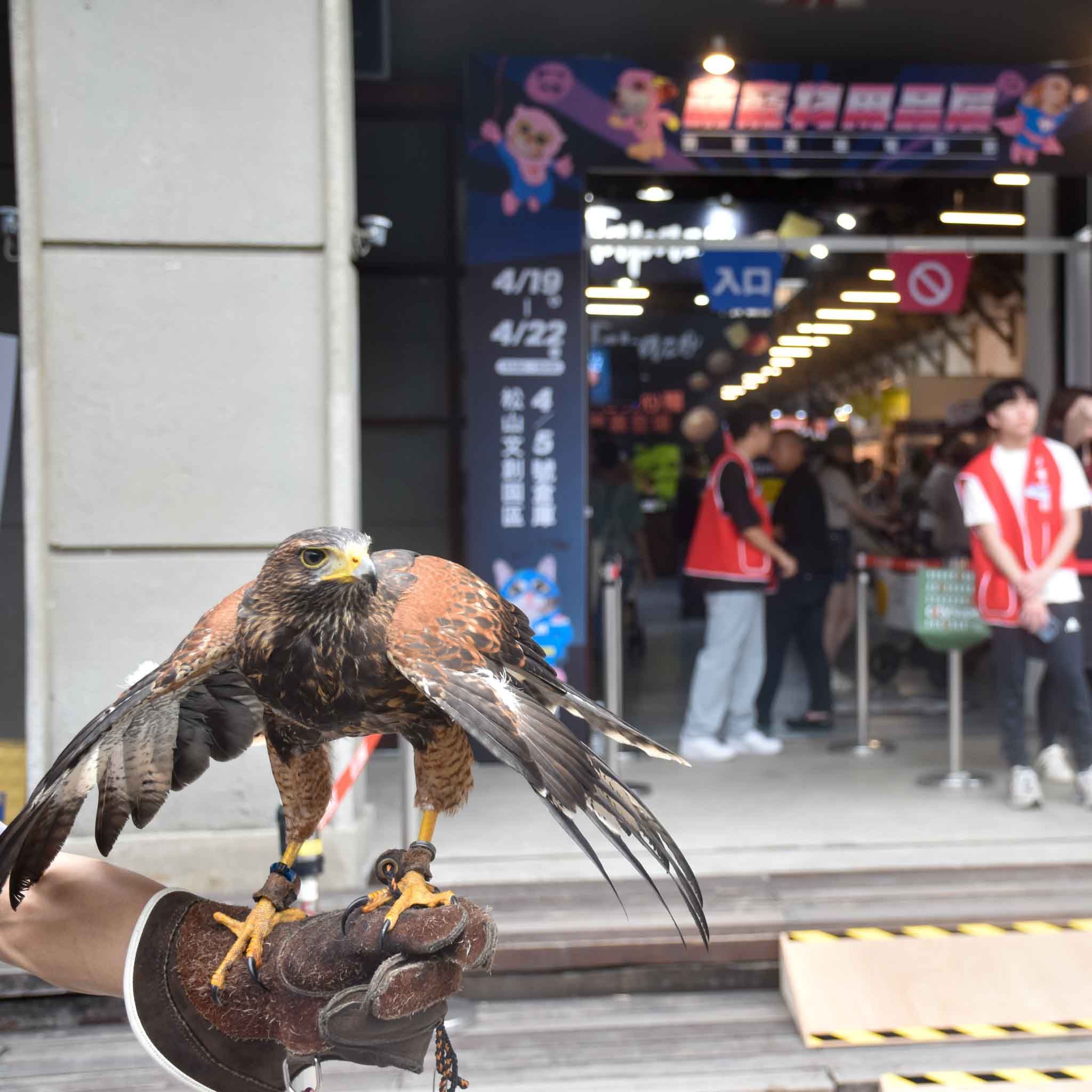 ShengDong生動國際展覽事業股份有限公司｜創新而生 動現未來