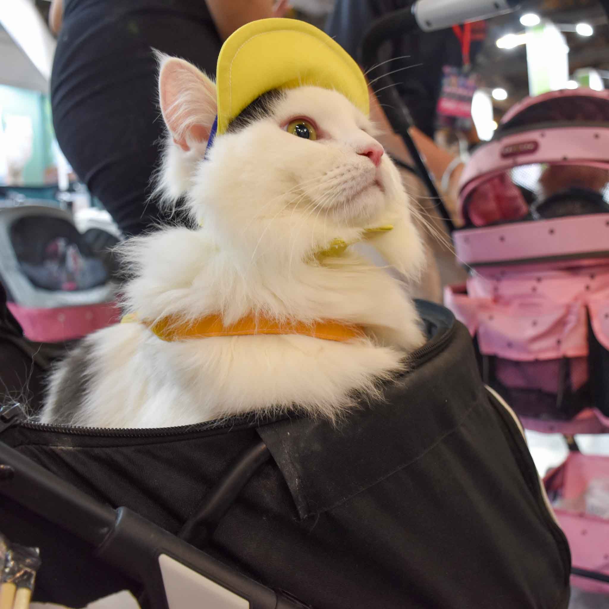 ShengDong生動國際展覽事業股份有限公司｜創新而生 動現未來