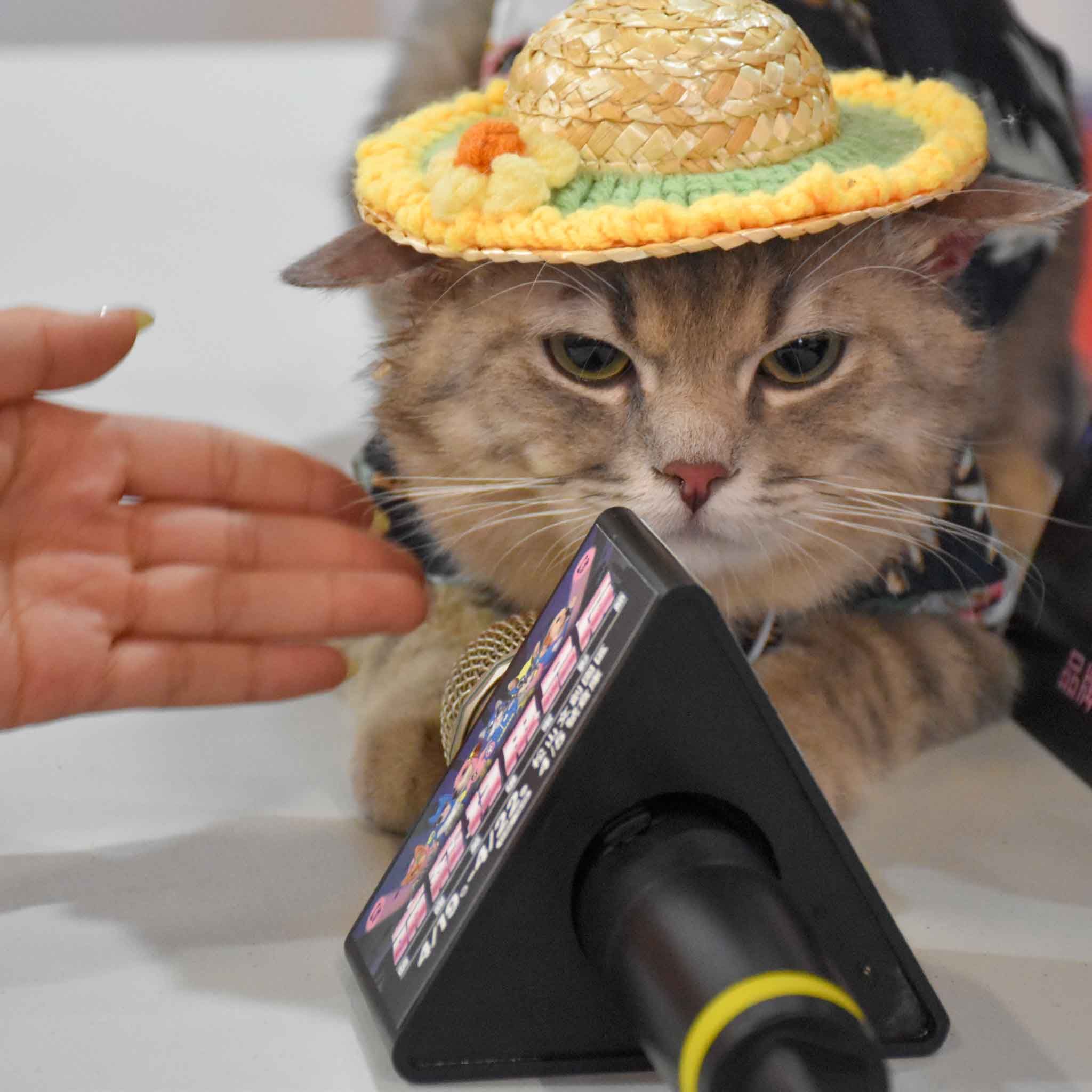 ShengDong生動國際展覽事業股份有限公司｜創新而生 動現未來