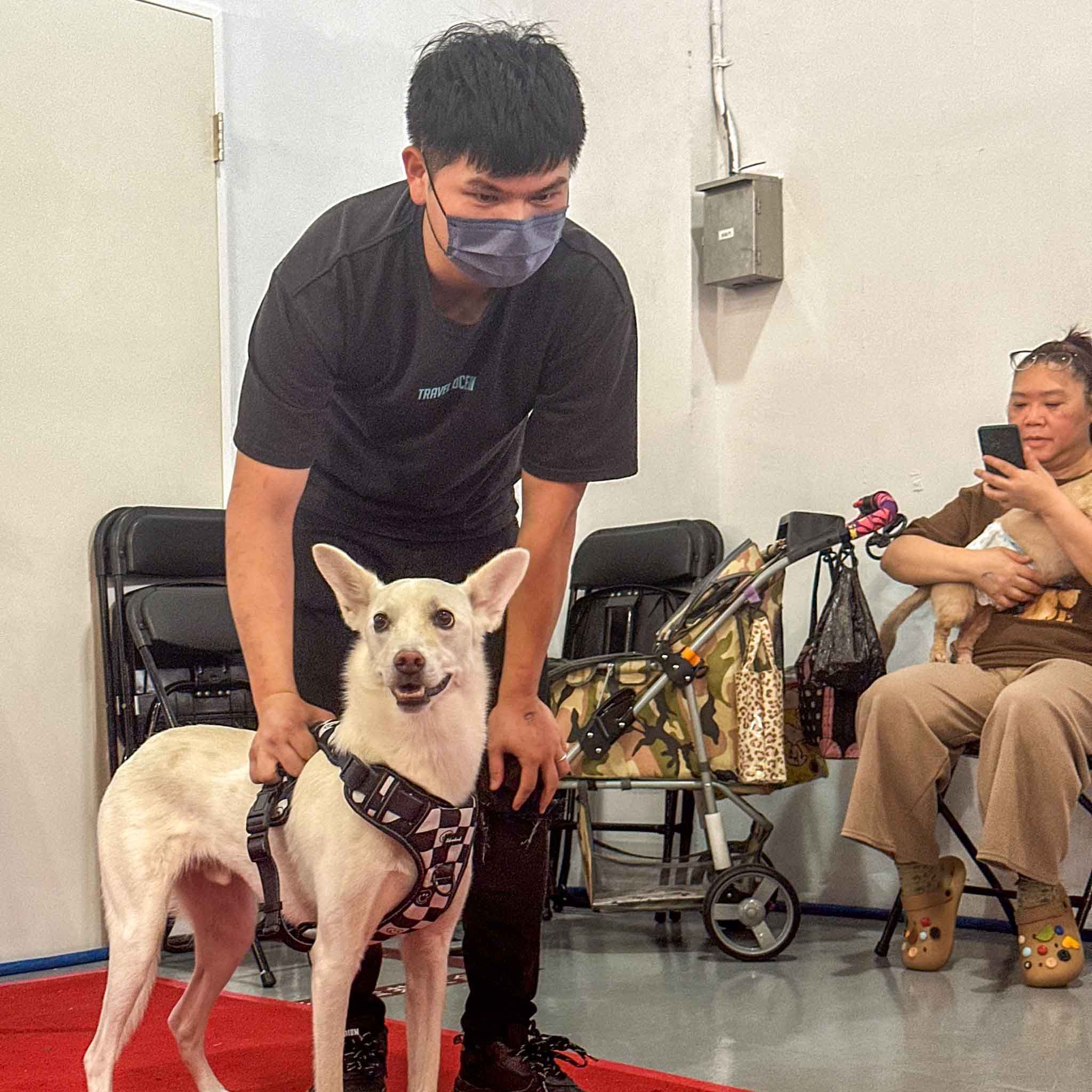 ShengDong生動國際展覽事業股份有限公司｜創新而生 動現未來